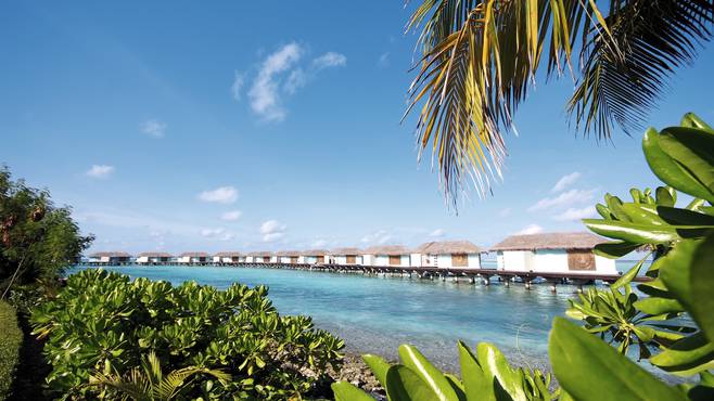 fc_chaaya_island_maldives - Best Child Friendly Holidays
